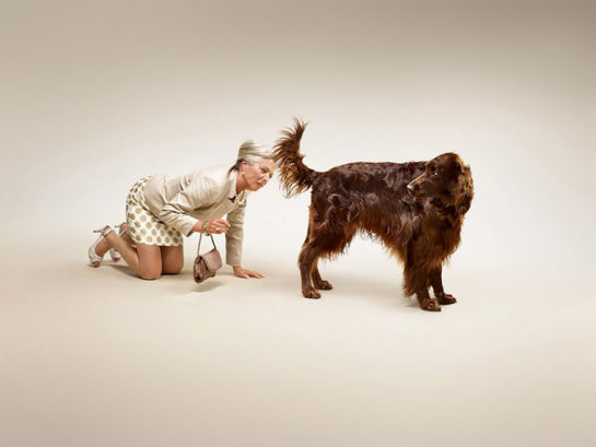 Creative & Funny Photos That Might Take A While To Get