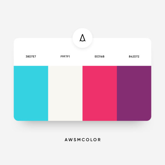 40+ Beautiful Color Palettes For Your Next Design Project